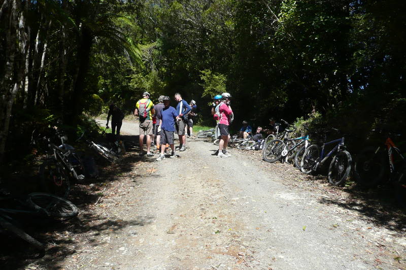 Motu Trails - Mountain Biking for Kids - ActiveActivities