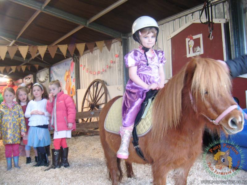 Pony Parties - Party Entertainment for Kids - ActiveActivities