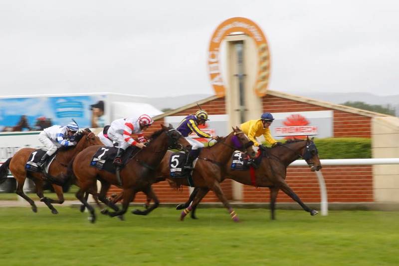 Otago Racing Club - Horse Riding Associations for Kids - ActiveActivities