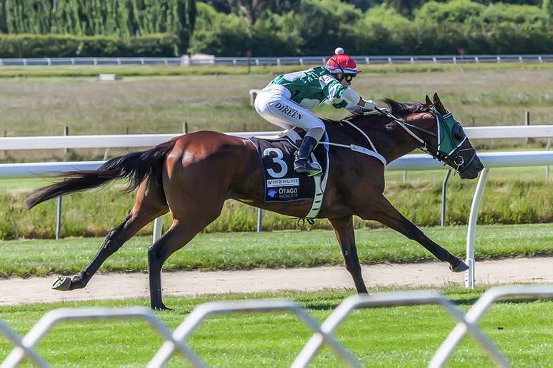 Otago Racing Club - Horse Riding Associations for Kids - ActiveActivities