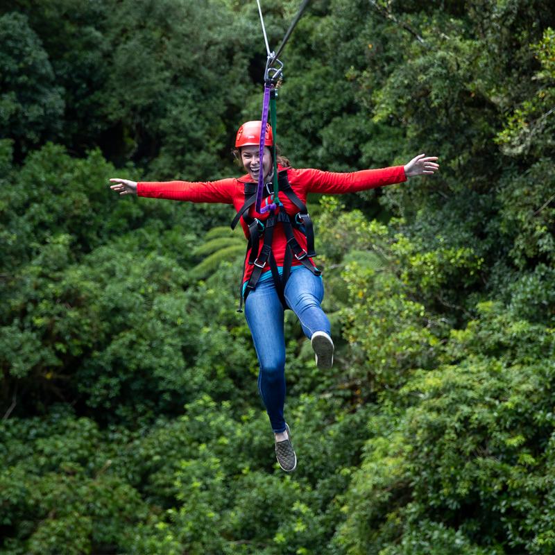 Rotorua Canopy Tours - Adventure Activities - ActiveActivities