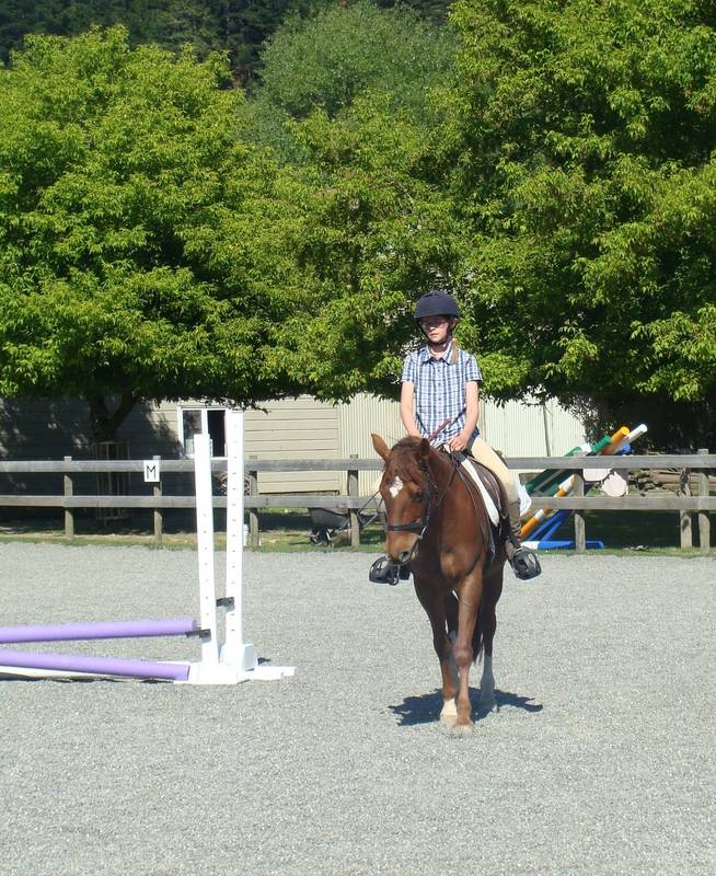 The Giggling Pony Equestrian Centre - Horse Riding Venues for Kids ...
