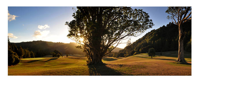 Waitakere Golf Club - Golf Clubs for Kids - ActiveActivities