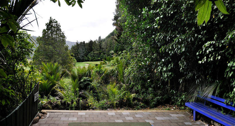 Waitakere Golf Club - Golf Clubs for Kids - ActiveActivities