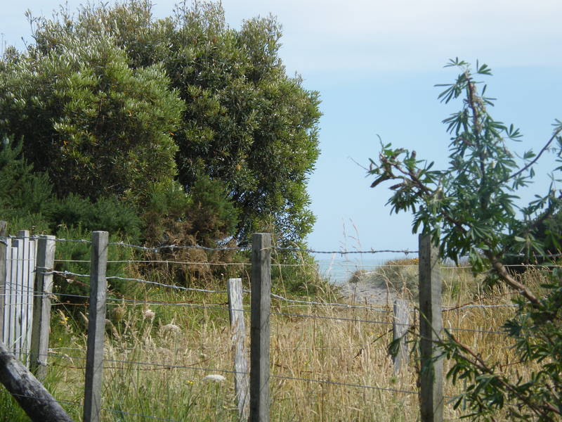 Opape Motor Camp - Camping for Kids - ActiveActivities