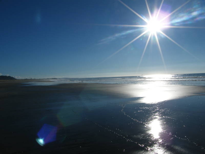 Opape Motor Camp - Camping for Kids - ActiveActivities