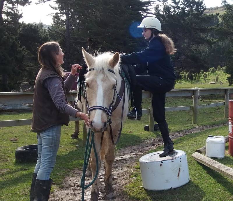 Hare Hill Horse Treks - Horse Riding Venues for Kids - ActiveActivities