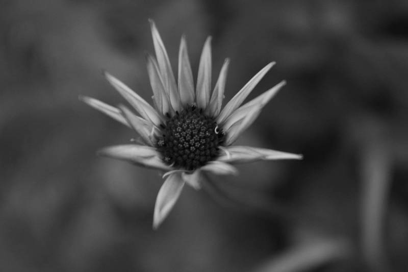 Through the Lens - Photography Lessons - Photography Teachers for Kids ...