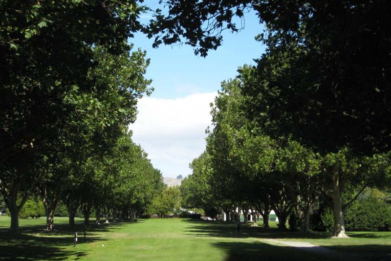 Blenheim Golf Club - Golf Clubs for Kids - ActiveActivities