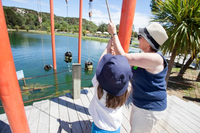 Huka Prawn Park - Adventure Parks for Kids - ActiveActivities