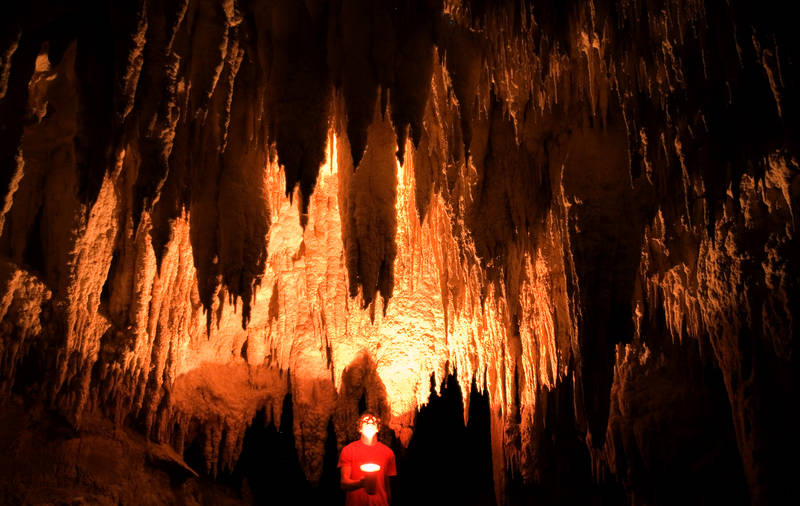 Nikau Cave and Cafe - Adventure Activities - ActiveActivities