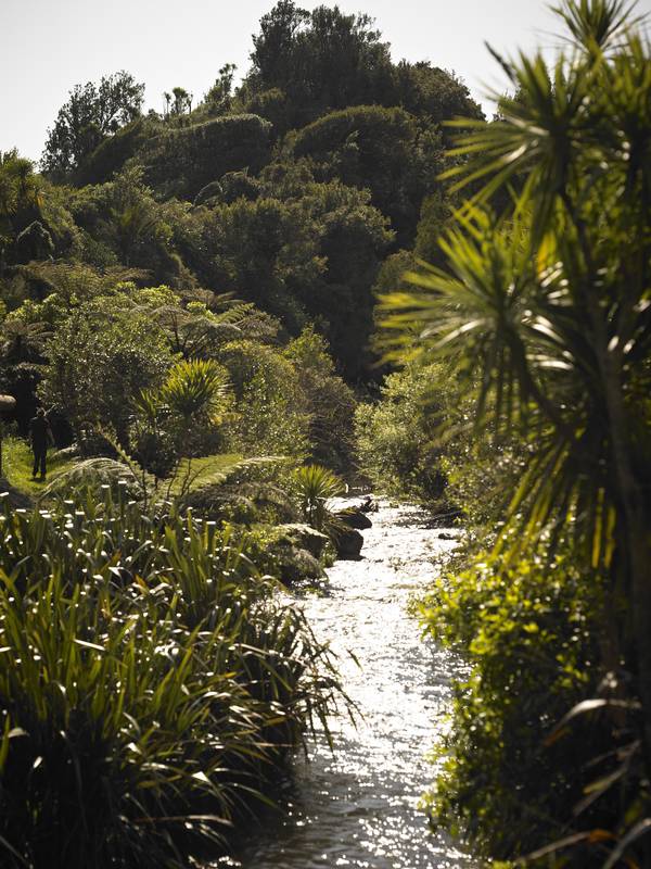 Nikau Cave and Cafe - Adventure Activities - ActiveActivities