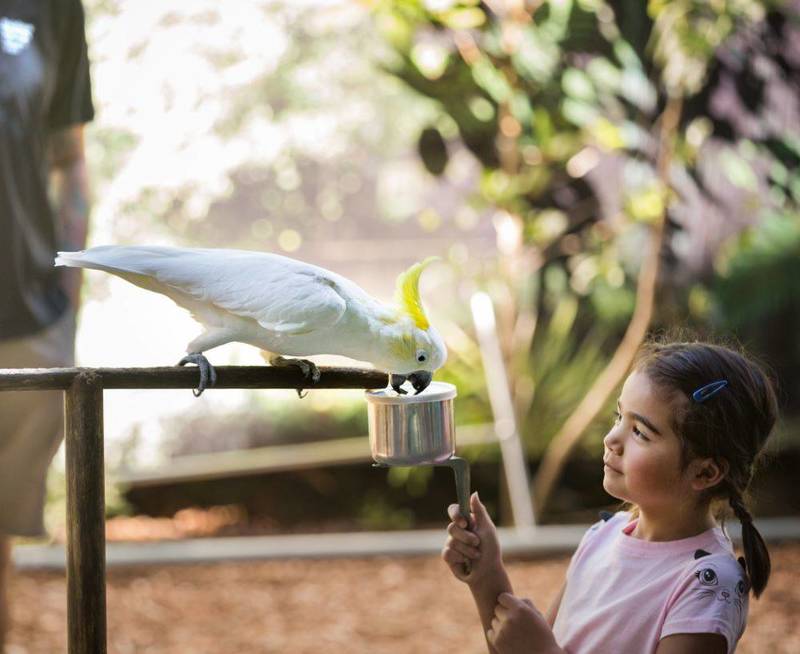 Rainbow Springs Nature Park - Wildlife Parks - ActiveActivities