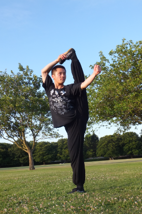 Master Song Shaolin Kung Fu Wushu - Holistic Martial Arts - Kung Fu ...