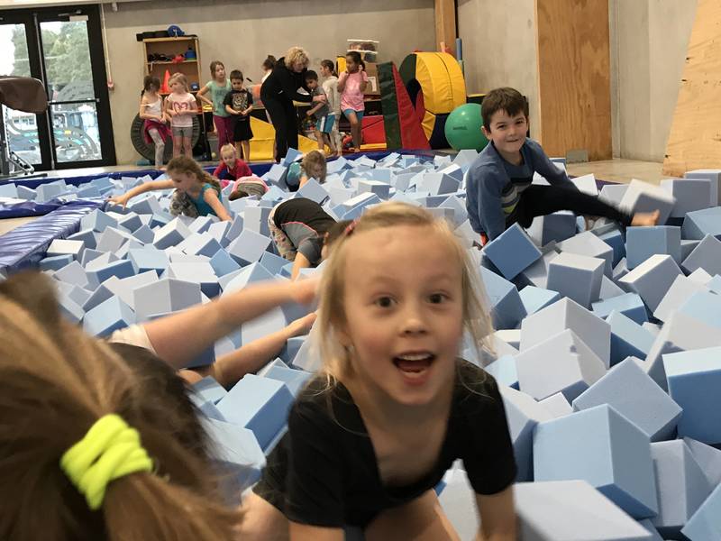 Gymnastics Waitara - Gymnastics Clubs for Kids - ActiveActivities