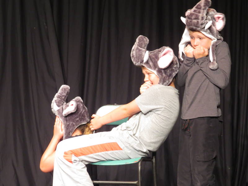 Theatrics Speech & Drama Academy Rotorua - Drama Classes & Lessons for ...